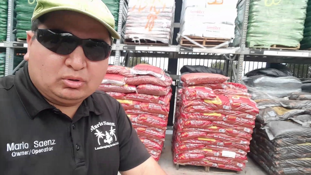 Pine bark nuggets at home depot