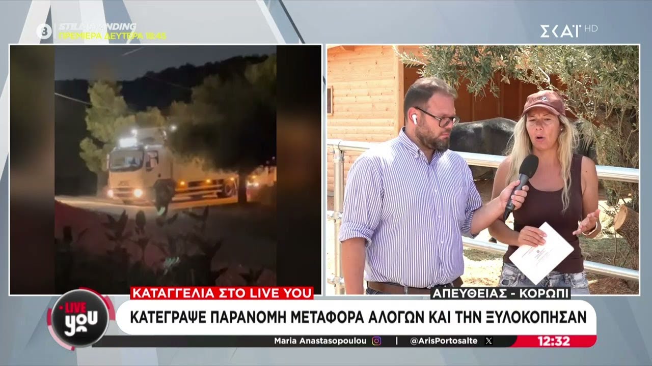 Να διερευνηθεί η παράνομη μεταφορά των αλόγων του Υμηττού - Mesogianews