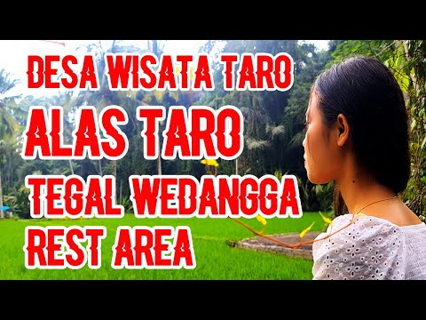 Desa Wisata Taro