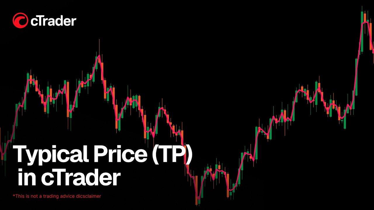 Typical Price (TP) indicator in cTrader - what it shows and how to use it