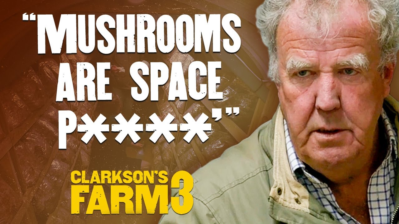 Jeremy Clarkson Explores the Fascinating World of Mushrooms | Galaxy.ai