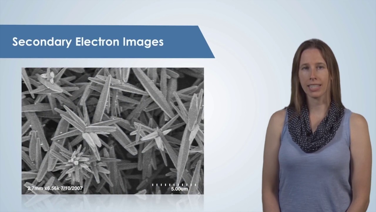 Understanding Scanning Electron Microscopy (SEM) and Environmental ...