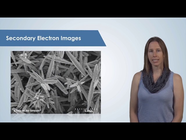 Understanding Scanning Electron Microscopy (SEM) and Environmental ...