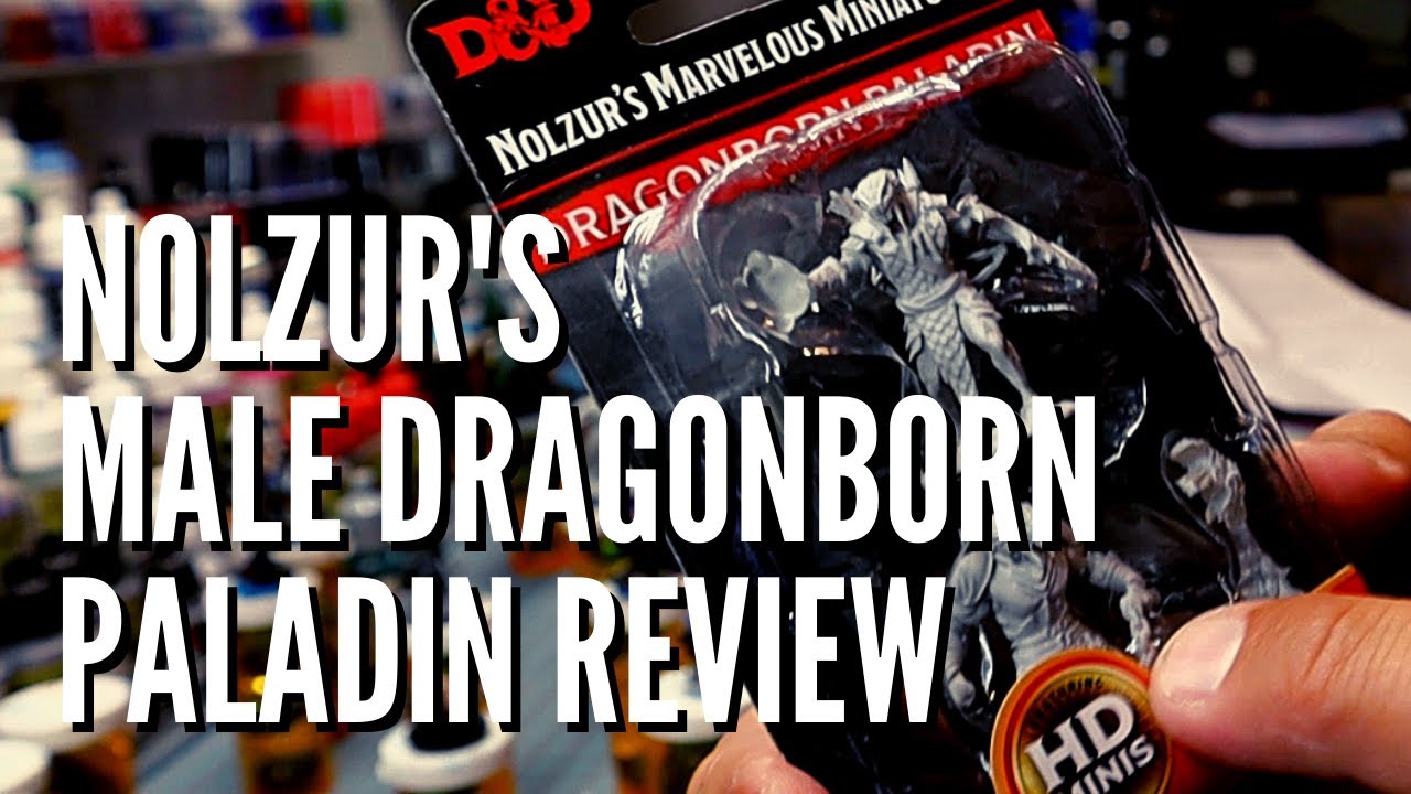 D&D Nolzur's Marvelous Unpainted Minis: W11 Male Dragonborn Paladins - REVIEW