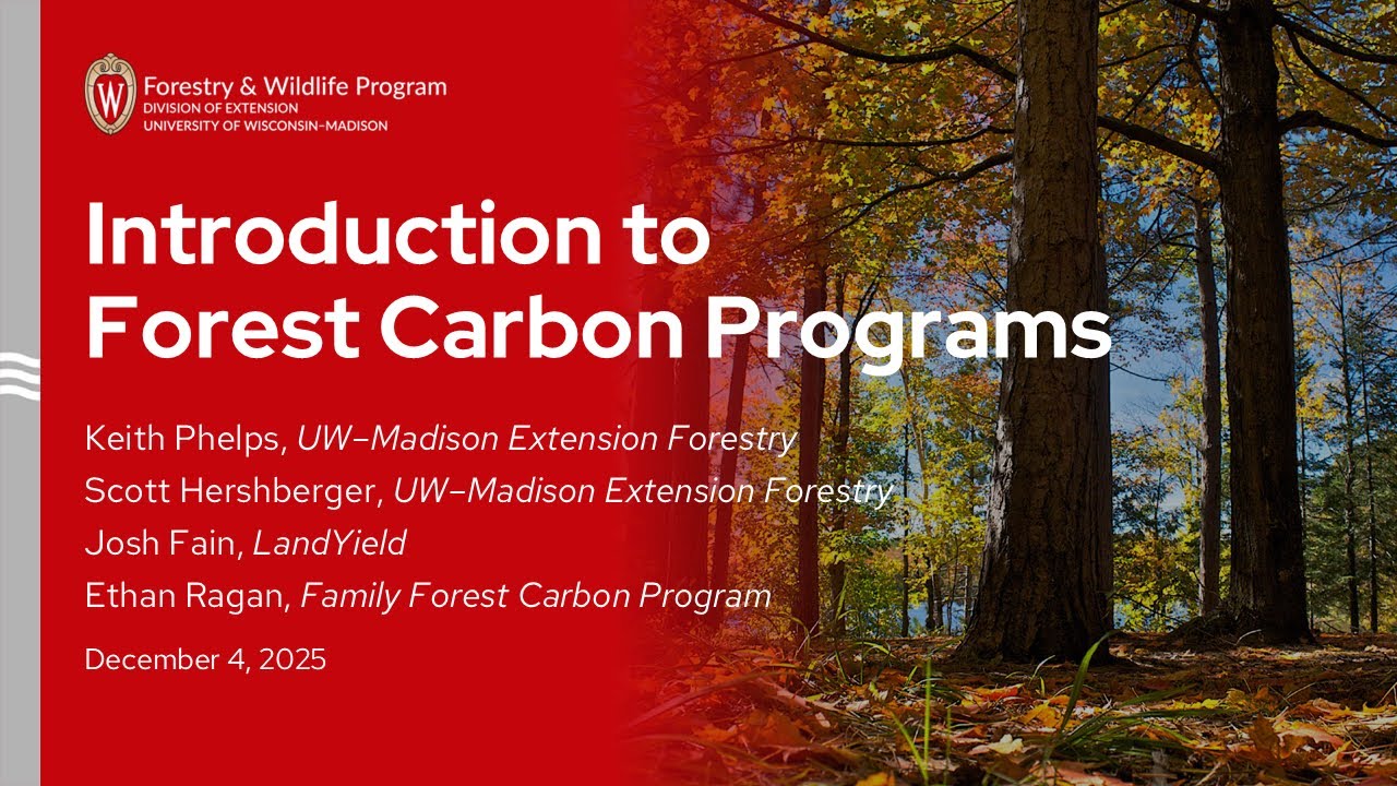 Introduction to Forest Carbon Programs