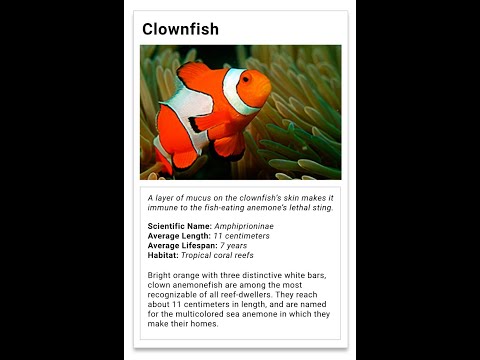 Make animal trading cards using HTML & CSS | #MadeWithFilmora | #FilmoraMagicVideo