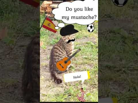 THIS CAT IS SPANISH!