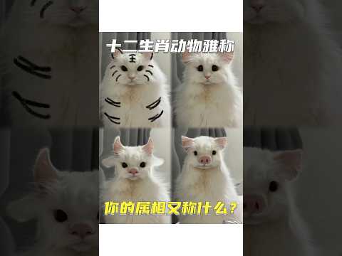 The elegant names of the twelve zodiac animals, what is your zodiac sign called? #Chinese Zodiac