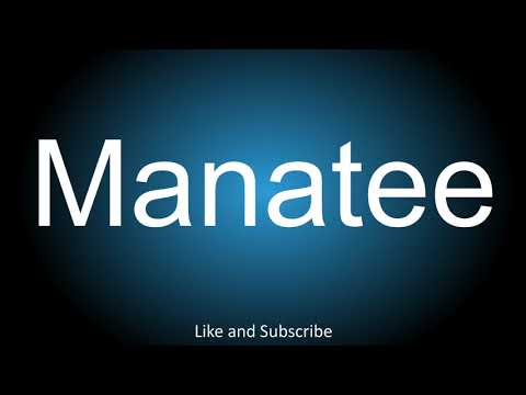 How to correctly pronounce - Manatee.