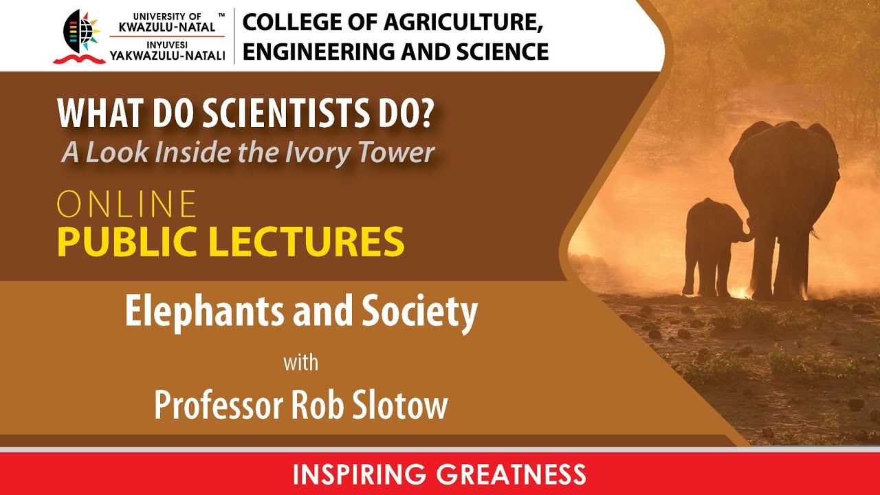What do scientists do? - Elephants and Society