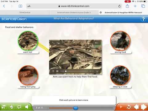 Lesson 6: What are Behavioral Adaptations? Science fusion Unit 4