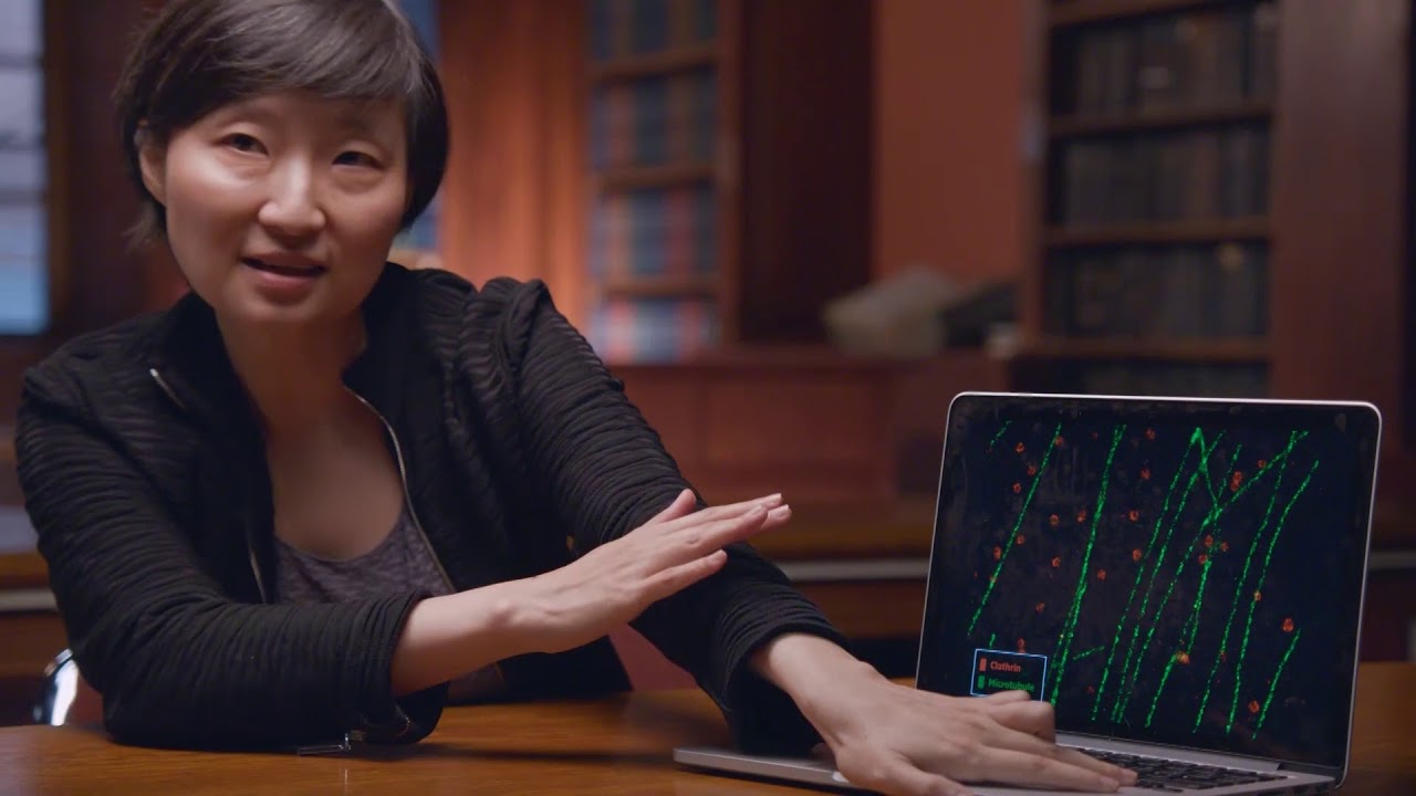 Xiaowei Zhuang: 2019 Breakthrough Prize in Life Sciences