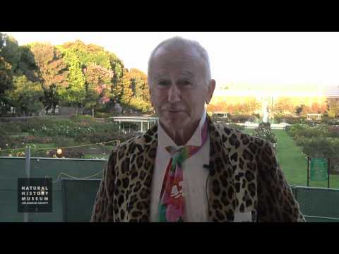 Meet Billy Al Bengston, Artistic Evolution @ NHMLA