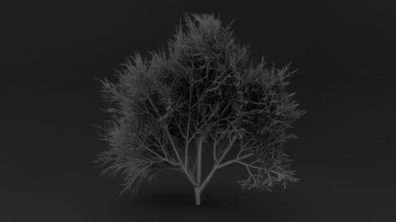 L Systems | where Nature = Math