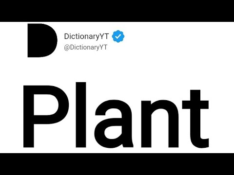 Plant Meaning in English