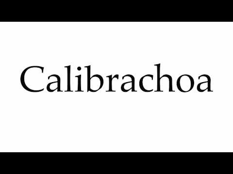 How to Pronounce Calibrachoa