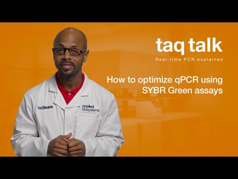 How to optimize qPCR using SYBR Green Assays--Taq Talk Episode 21