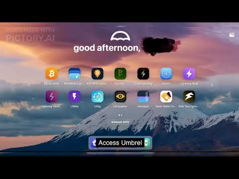 "Lightning Fast Bitcoin: How to Set Up Your Own Lightning Node"