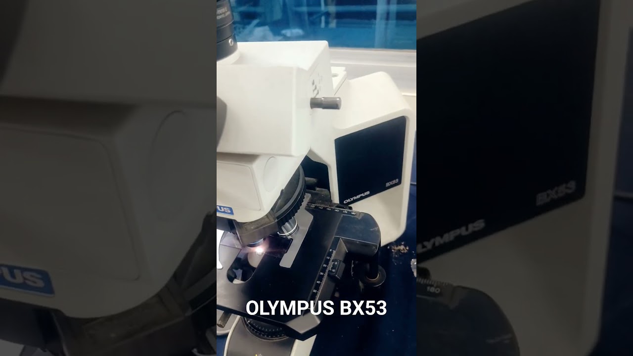 Olympus Microscope ..Made in CANADA👌