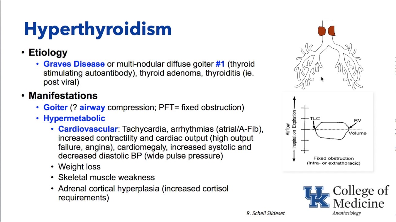 Thyroid and Parathyroid Disorders and Anesthesia - Dr. Schell