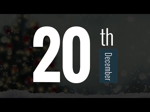 Stupid (adjective) Word of the Day for December 20th