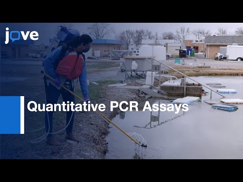 Quantitative PCR Assays for Environmental DNA Applications | Protocol Preview