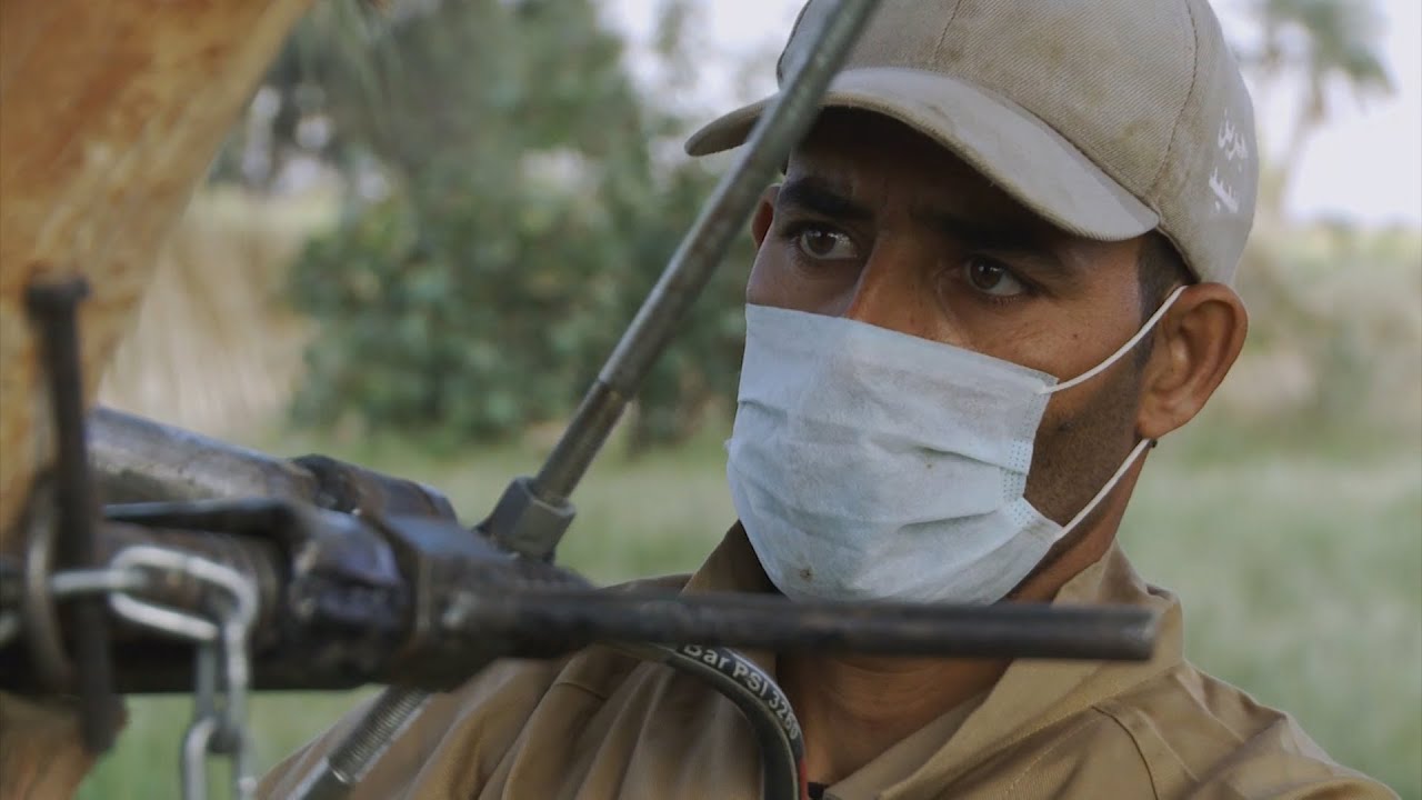 Egypt: Building Resilience