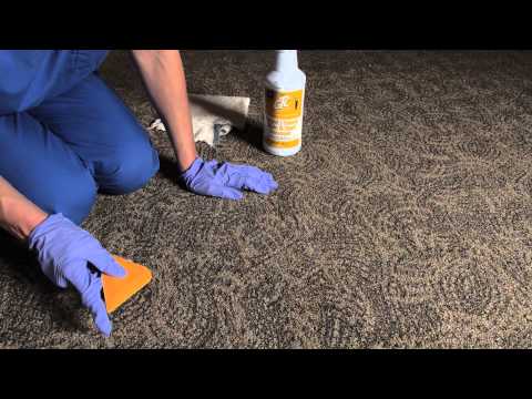 How to Remove Carpet Stains Training Video Using GTC Carpet Stain Remover