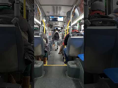 CTA bus route 52 #bus #busfanning #busfansoffical #transit #busmania