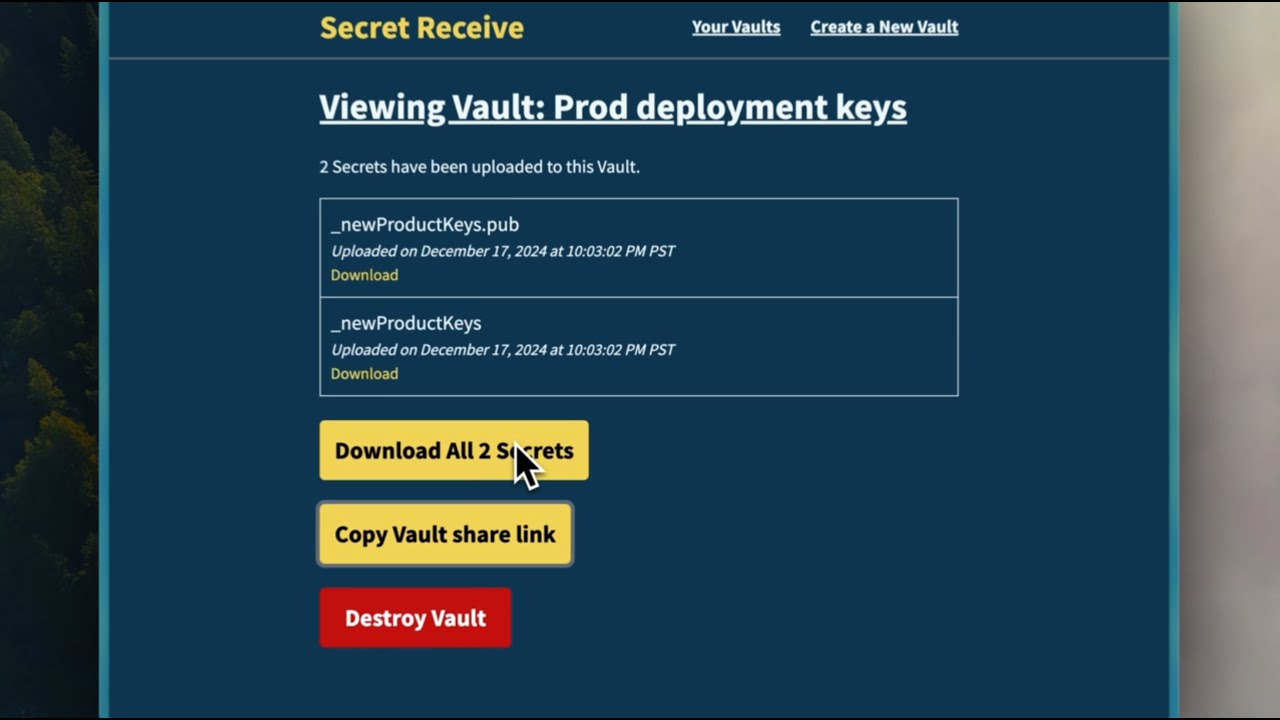 We Built an Encrypted File Sharing Service in 2 Weeks