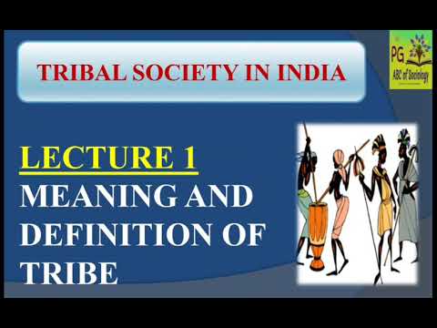 Meaning and Definition of tribe..