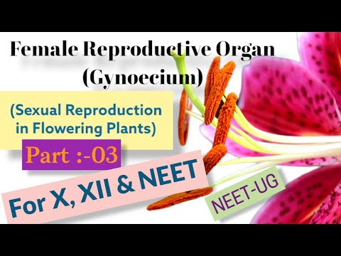 Gynoecium | Structure and Function of Pistil | Embryo Sac Development. NEET Biology 🔥💯