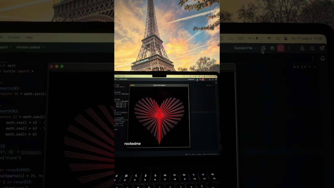 Create Heart Patterns with Python Turtle! #coding  #python  #turtle  #programming  #code