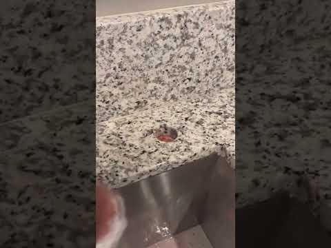 How to install glass rinser -FONTOP cup washer for kitchen sink