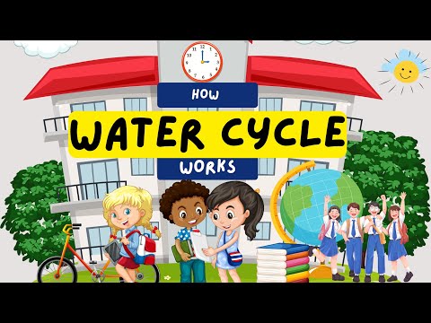 How Water Cycle Works #kidslearning