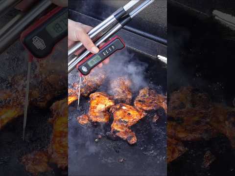 How to check the internal temperature on your meat