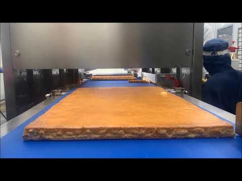UFM8000 Cake production line - Cheersonic