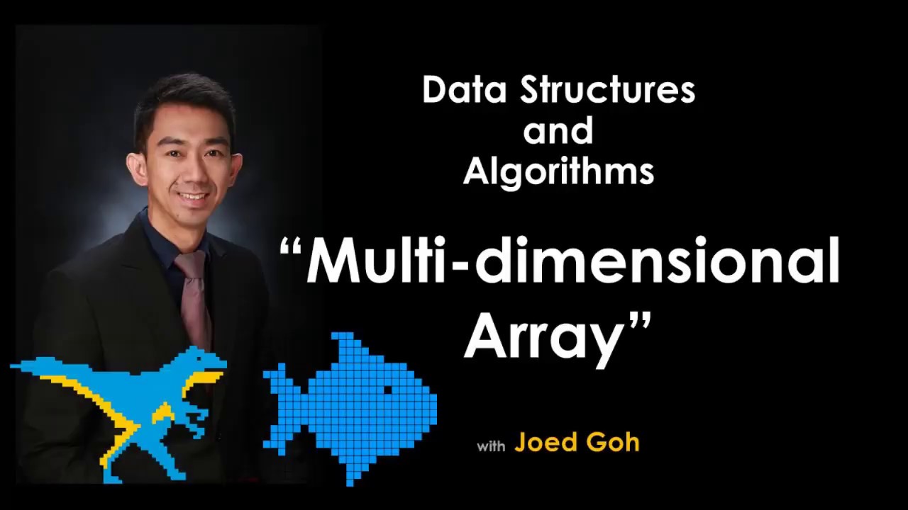 11 Multi-dimensional Array : Data Structures and Algorithms