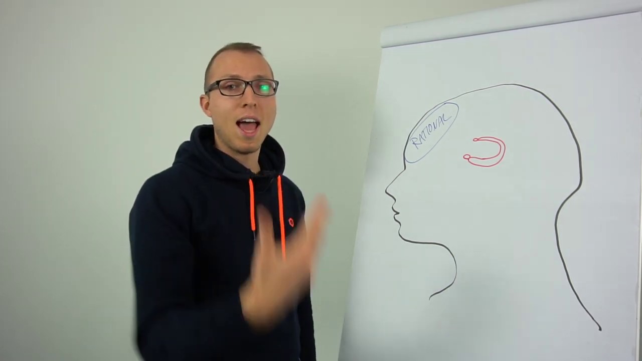 Why can´t you Think when you are Angry / Emotional |  Neuroscience