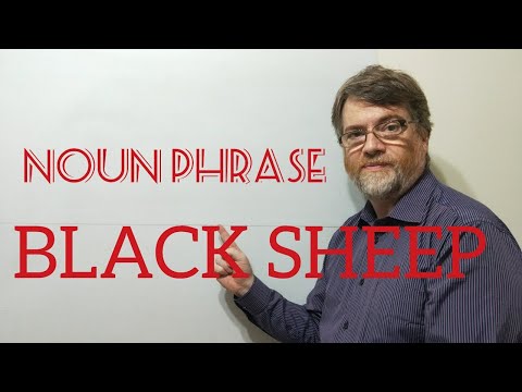 English Tutor Nick P Noun Phrase (170) Black Sheep - origin