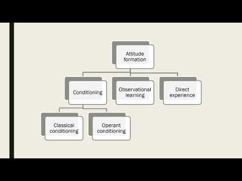 Factors influencing attitude formation