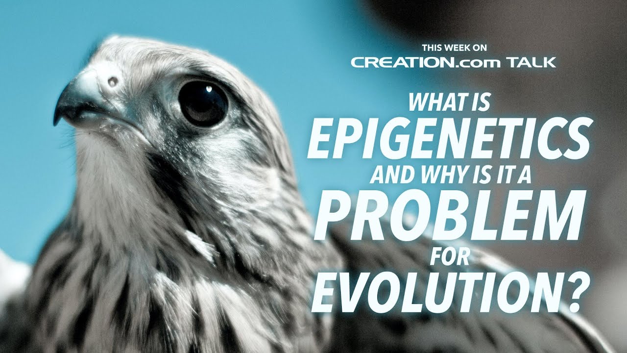 Understanding Epigenetics: A Challenge to Darwinian Evolution | Galaxy.ai