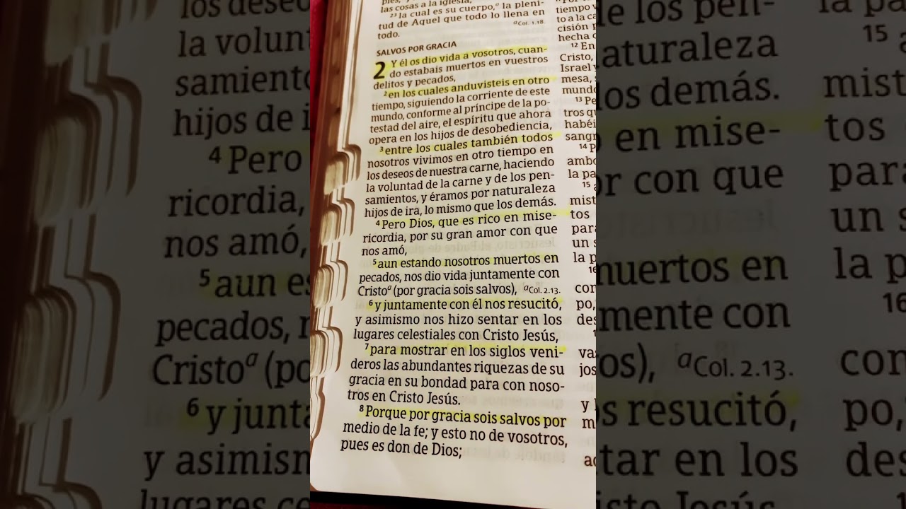 Efesios 2: 1 al 8 Salvos por gracia 🙏