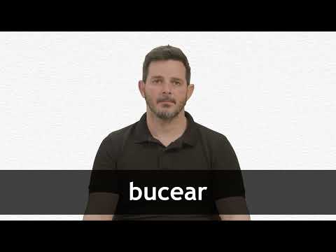 English Translation of “BUCEAR” | Collins Spanish-English Dictionary