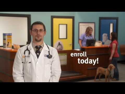 Banfield Pet Hospital - Optimum Wellness Plans