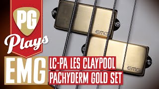 Pachyderm Instruments Les Claypool Custom 6-String Bass by Dan Maloney ...