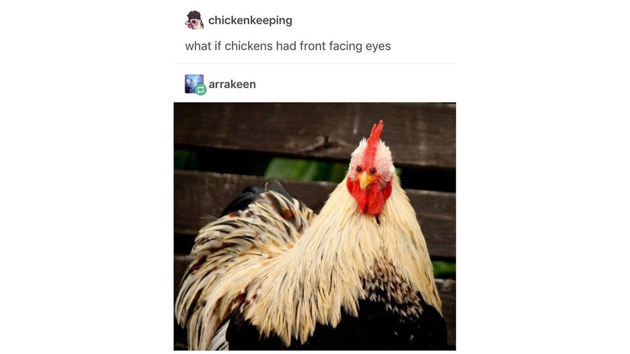 Tumblr Posts - Episode 16
