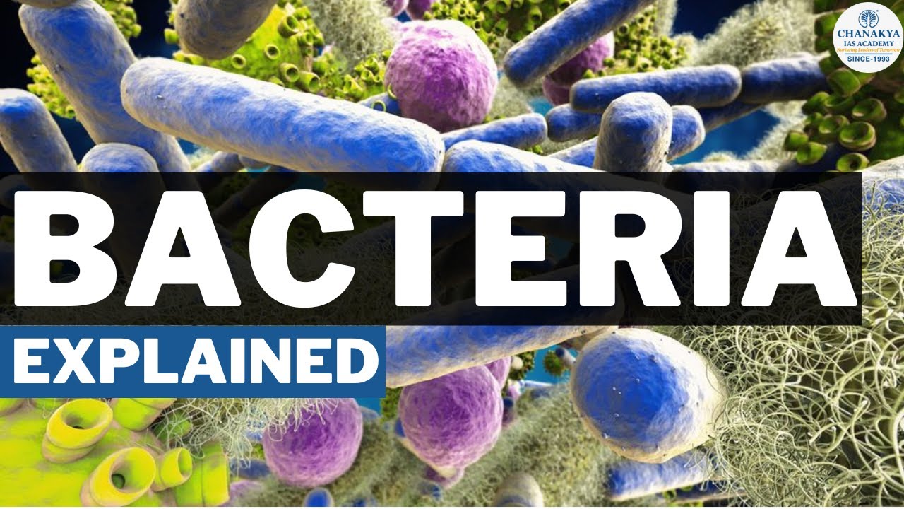 Bacteria: Definition, Types, Benefits, Risks & Examples | Science & Technology | Chanakya JPSC