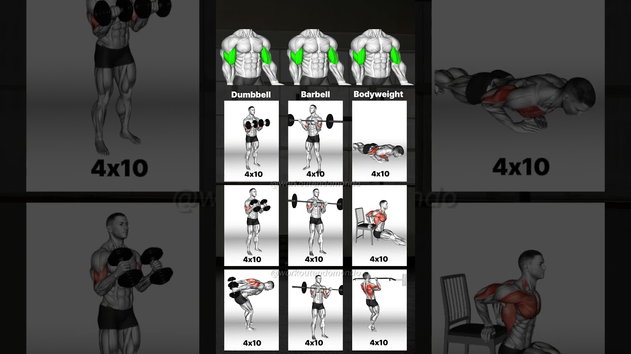 BEST Arm Day Exercises You MUST Try for Massive Gains!