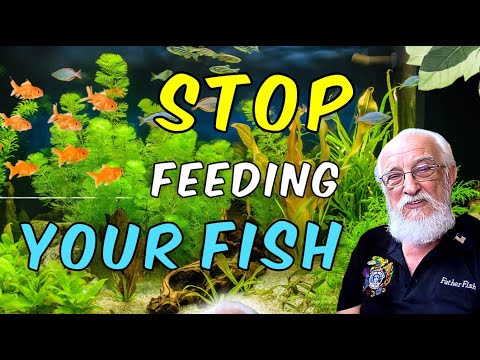 Does anybody "let the tank feed itself" ala Father Fish? - General Chat ...